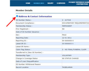 How to Get Your SSS Static Information Online (2025 Updated Guide ...